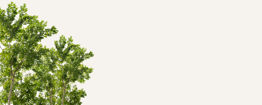 Zoodyssée – Parc animalier de Chizé, France (Deux-Sèvres)