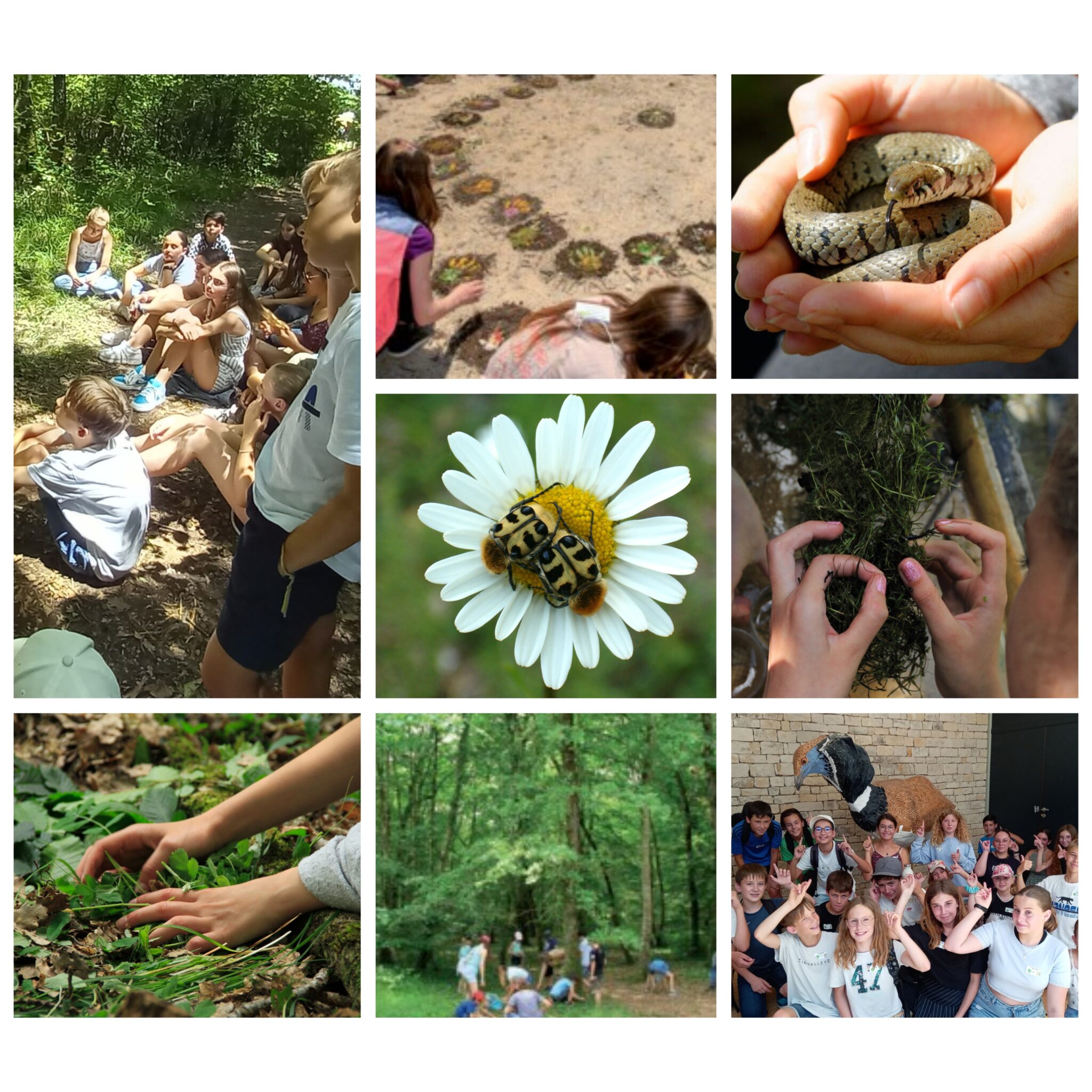 Zoodyssée – Parc animalier de Chizé, France (Deux-Sèvres)